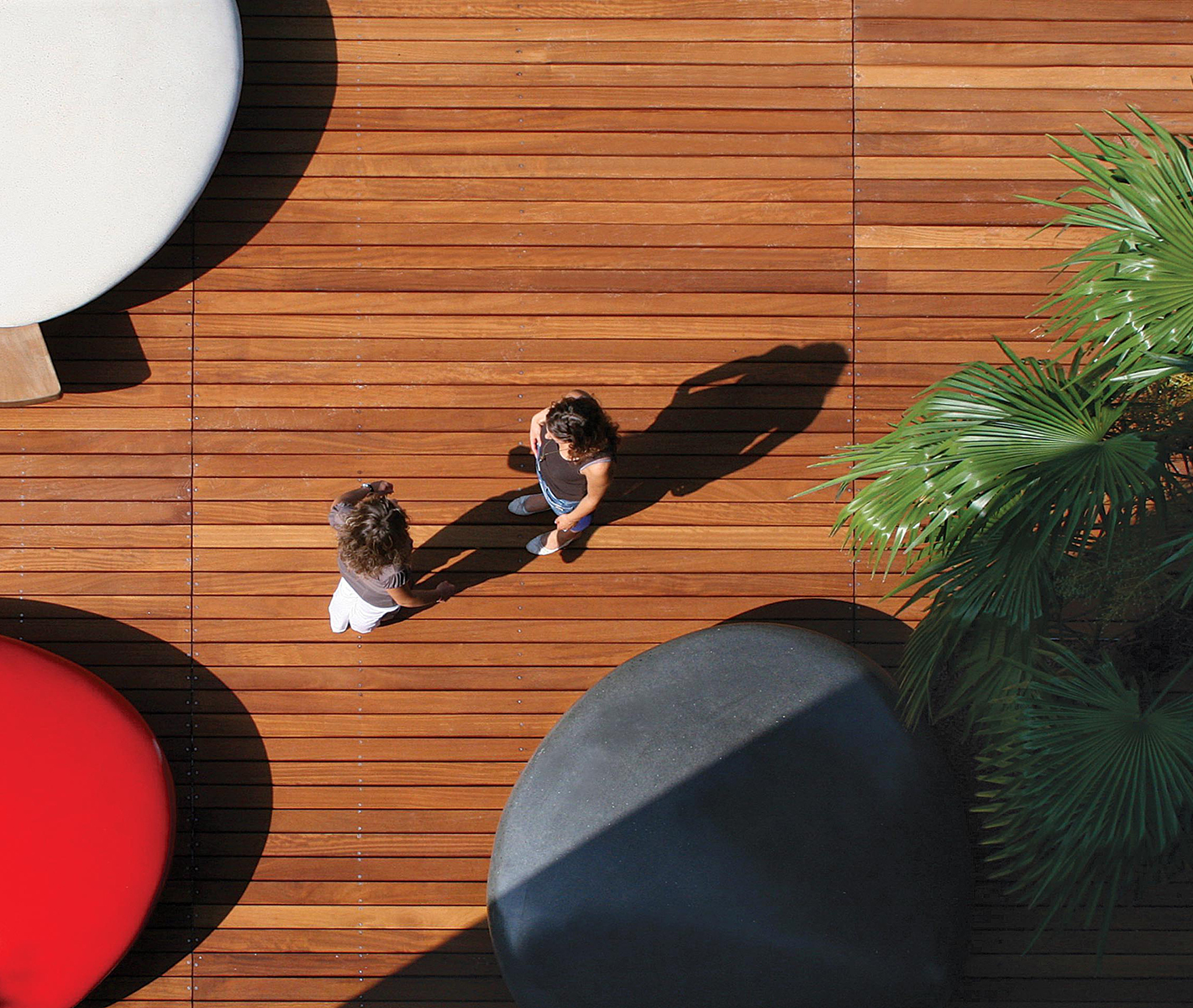 Moonstone | Spruce & Gander