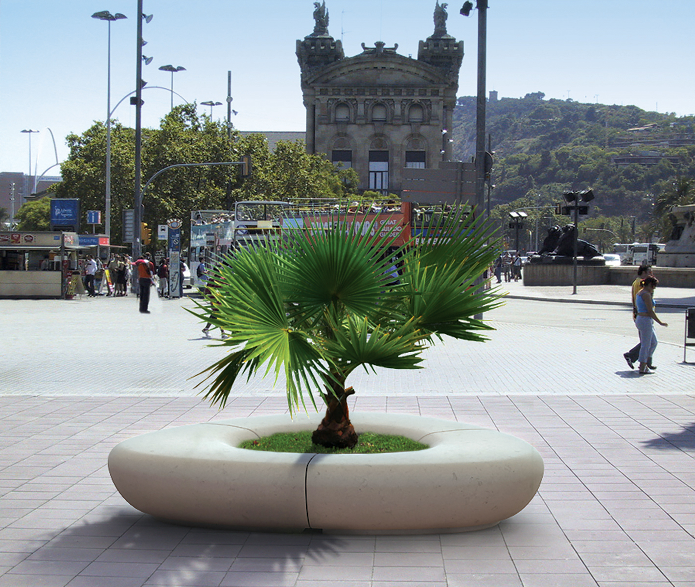 Tree Line | Spruce & Gander