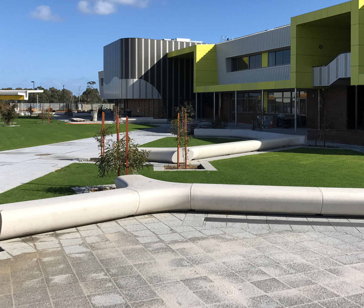 Tree Line | Spruce & Gander