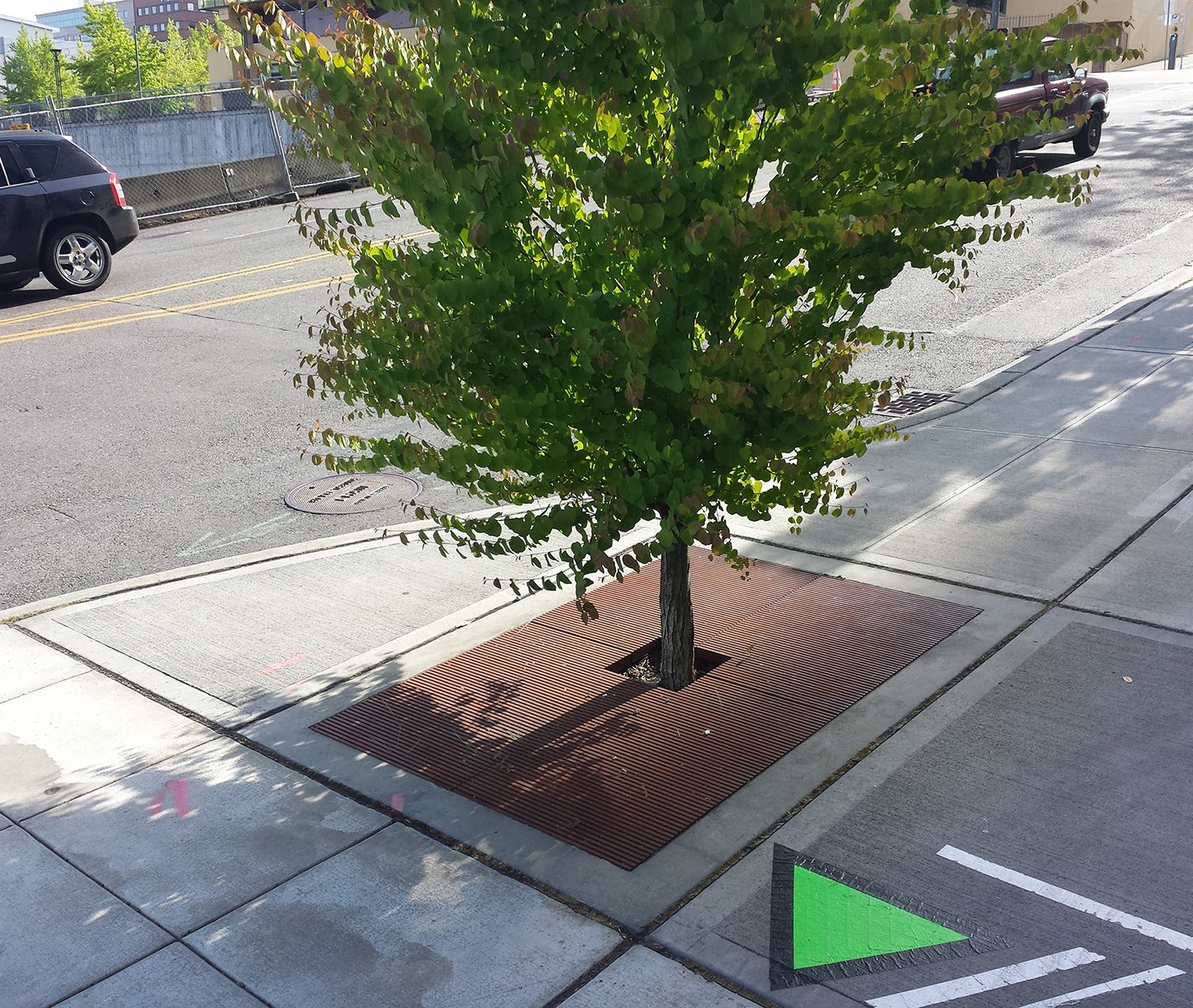 Jamison Tree Grate | Spruce & Gander