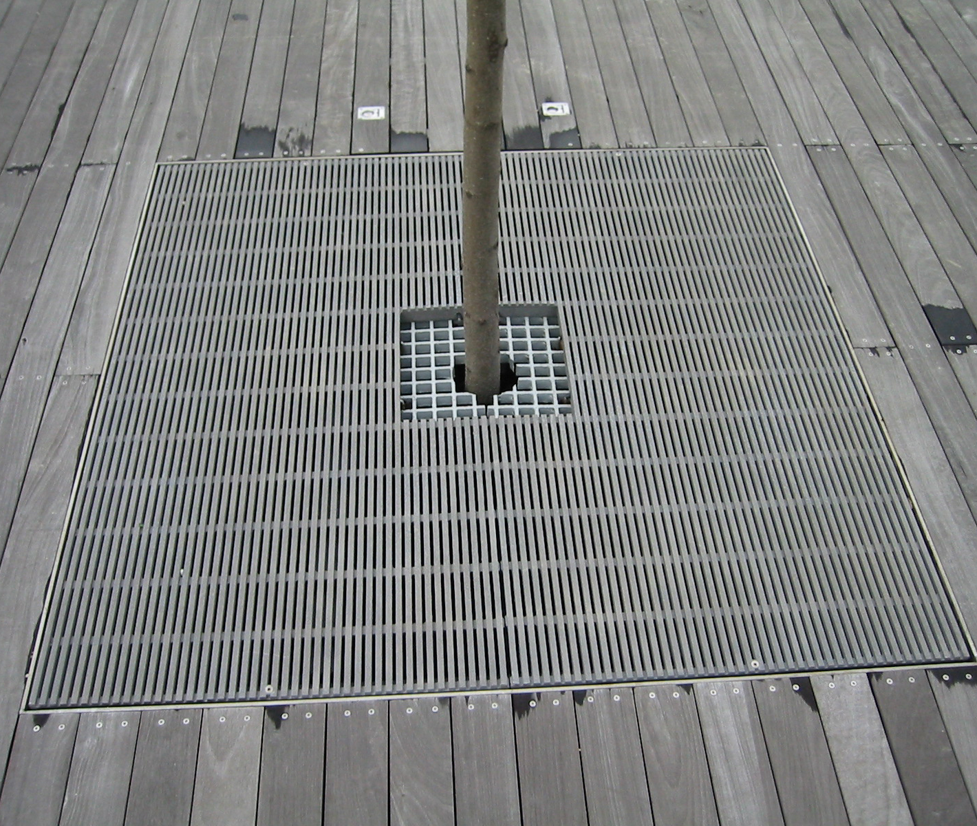 Jamison Tree Grate | Spruce & Gander