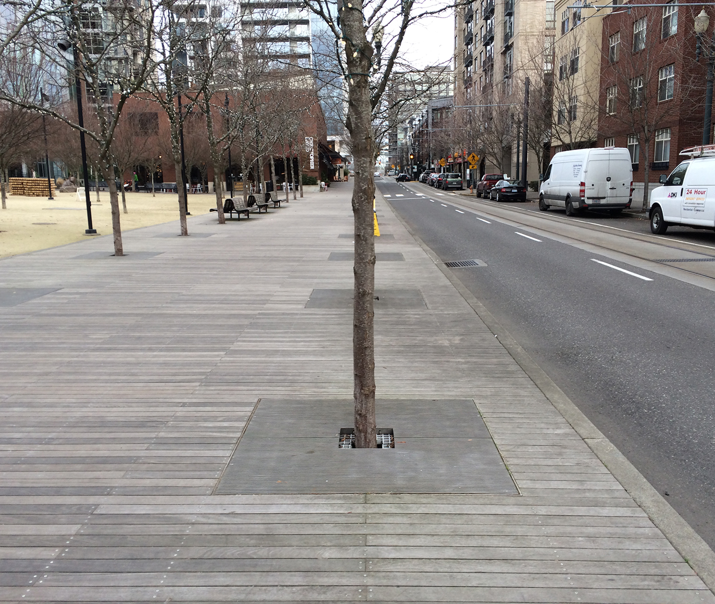 Jamison Tree Grate | Spruce & Gander