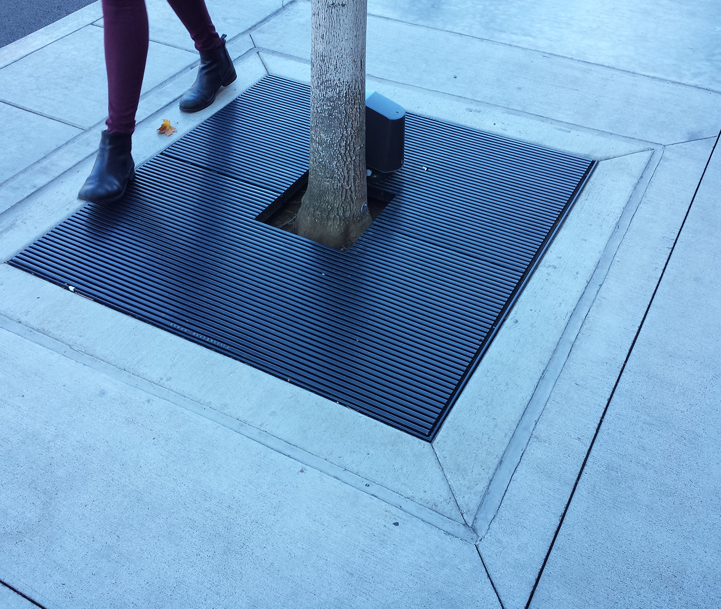 Jamison Tree Grate | Spruce & Gander