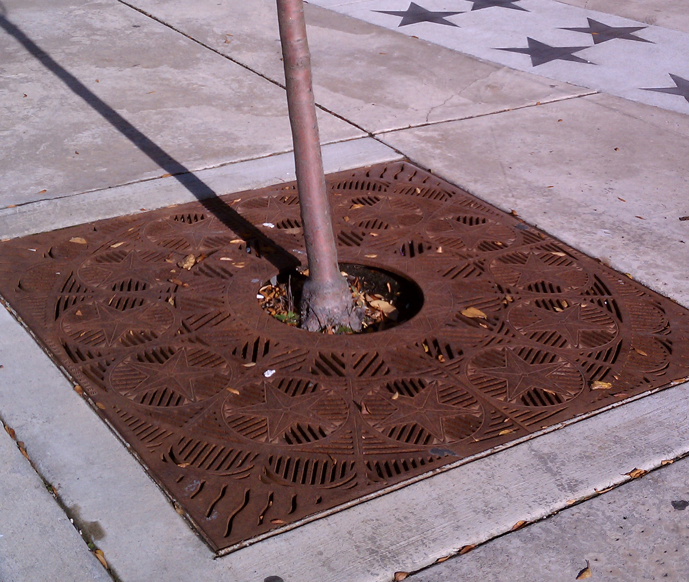 North Star Tree Grate | Spruce & Gander